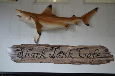 Shark Tank Cafe | RGF
