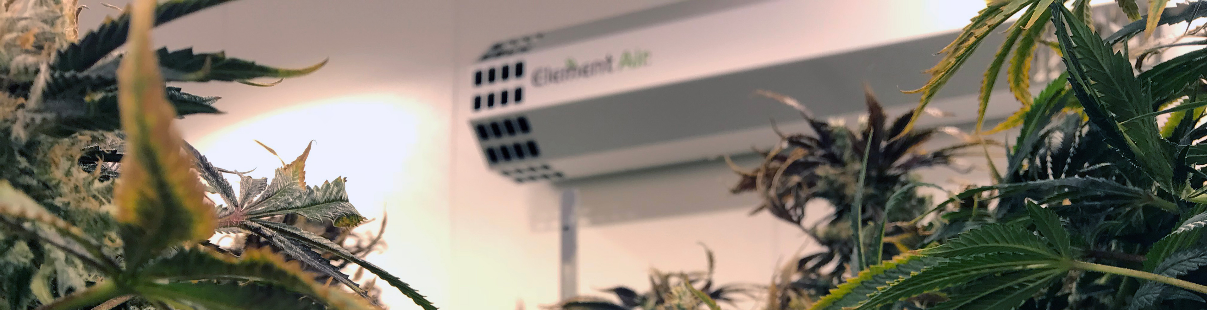 Element Air | RGF
