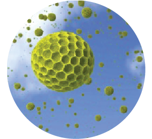 Test Results - RGF Environmental Group RGF Environmental Group